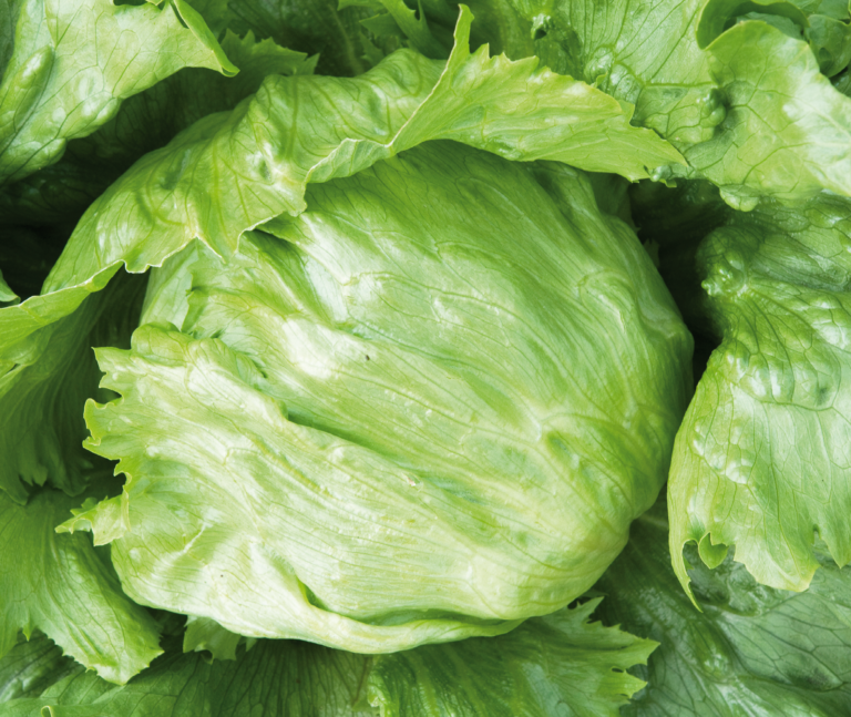 IJSBERGSLA - Vergeldt Vegetables